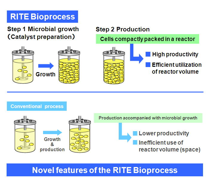 RITE Molecular Microbiology and Biotechnology Group