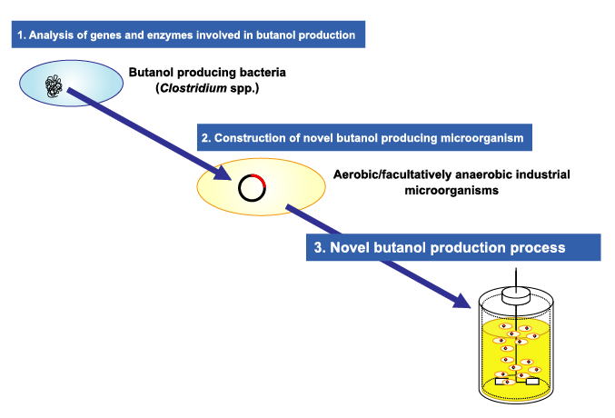 RITE Molecular Microbiology and Biotechnology Group