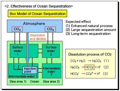 Fig. 5 Ocean Carbon Cycle Model and Ocean Sequestration