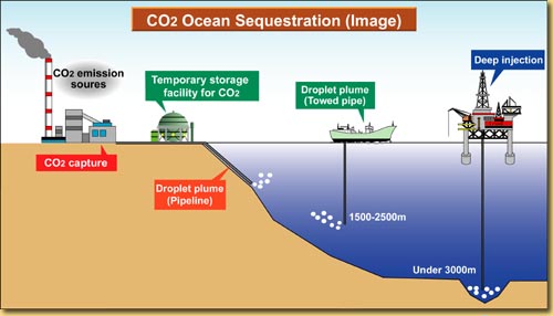 "New Earth 21" Program