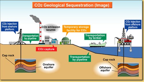 "New Earth 21" Program